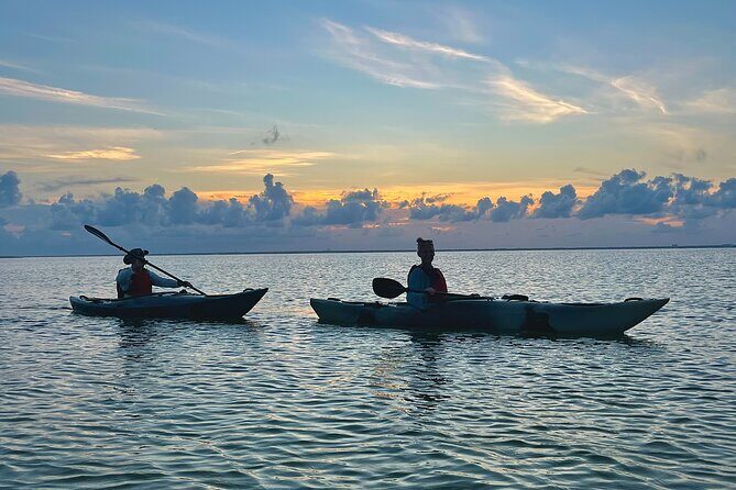 Pensacola Beach Kayak Tour - Exploring the Details of the Pensacola Beach Kayak Tour