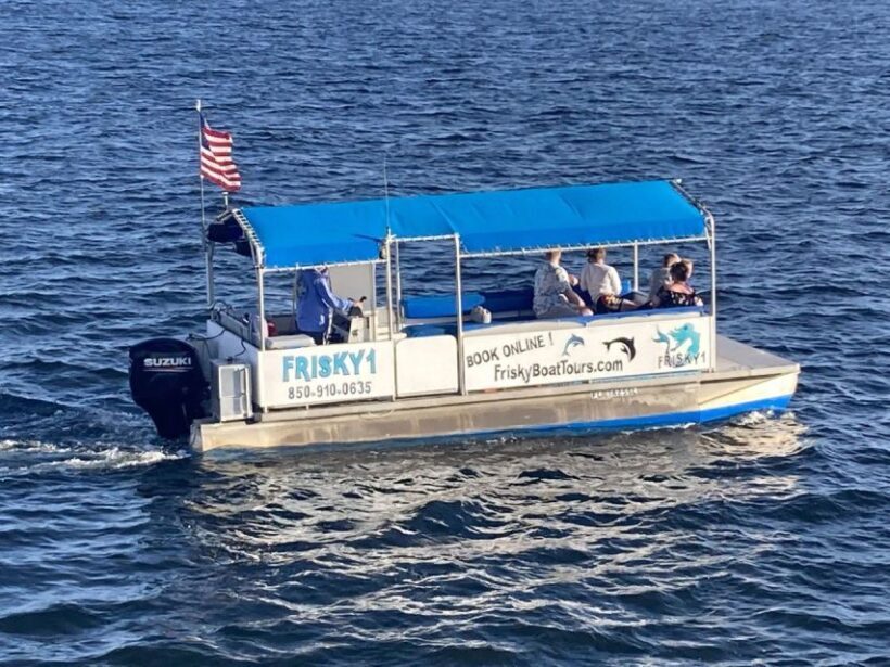 Pensacola Beach Sunset Dolphin Tour private up to 6 ppl - Final Thoughts on the Pensacola Beach Sunset Dolphin Tour