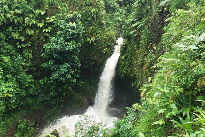 Pepper's 4-Hour Special - Introducing Pepper’s 4-Hour Special: A Genuine Taste of Dominica