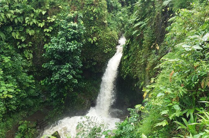 Pepper's 4-Hour Special - FAQ