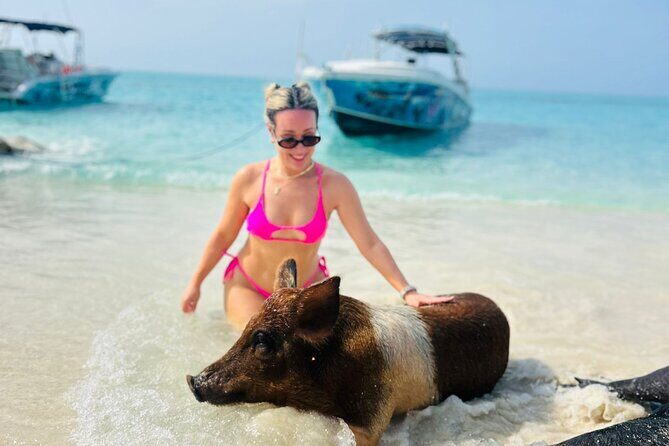 Perfect Day Swimming Pigs, Turtles, Reef Snorkel & Lunch - The Real Deal — What Travelers Say