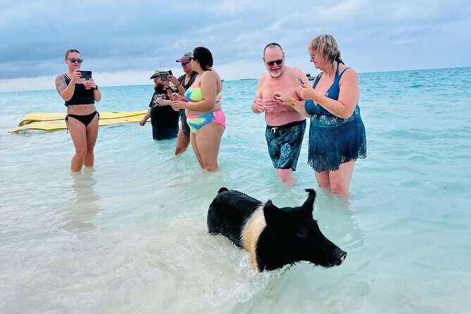 Perfect Day Swimming Pigs, Turtles, Reef Snorkel & Lunch - Frequently Asked Questions