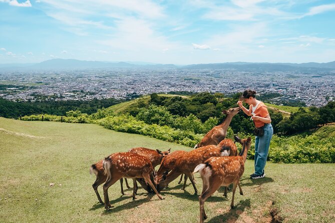 Perfect Nara Park Half-Day Bus Tour With English Speaking Guide - Key Points