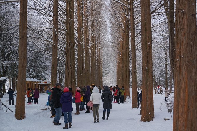 [Perfect Private Tour] Nami island, Petite France and Organic Strawberry Farm - FAQ