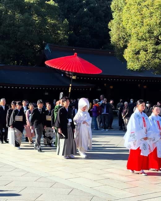 Perfect Start for your Japan Trip - Private Tour in Tokyo - Key Points