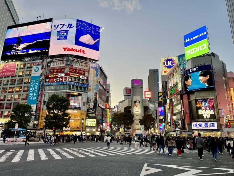 Perfect Start for your Japan Trip - Private Tour in Tokyo - An In-Depth Look at the Tour Experience