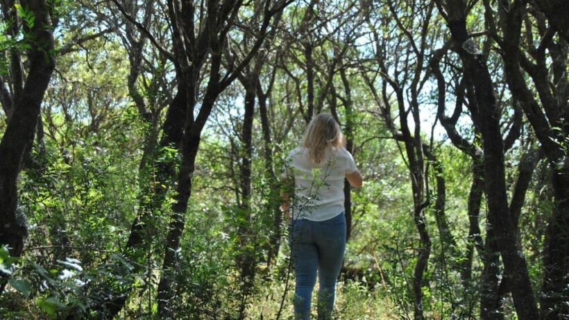 Perfugas: Green Mindfulness Walk - Key Points