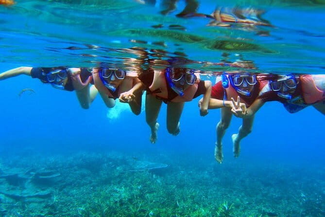 Perhentian Island Snorkeling Day Trip from Kuala Besut Jetty - Analyzing the Value and Experience
