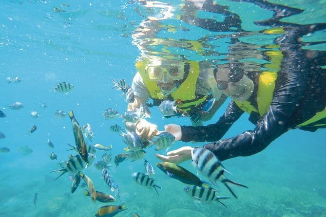 Perhentian Island Snorkeling Day Trip from Kuala Besut Jetty - FAQs