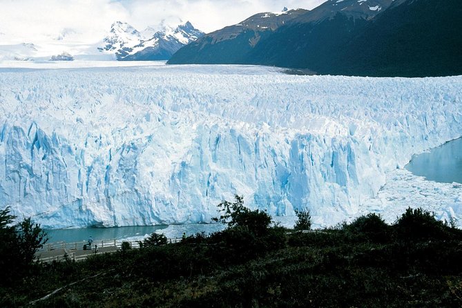 Perito Moreno Glacier Big Ice Tour From El Calafate - Exploring the Patagonian Andean Forest