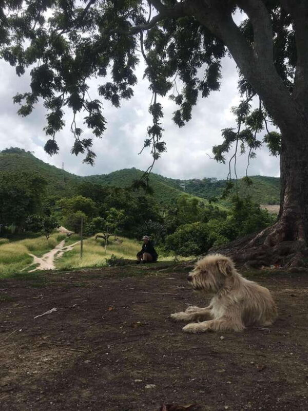 Personal Guide to Starbuk's Banawa, Cebu City - Key Points