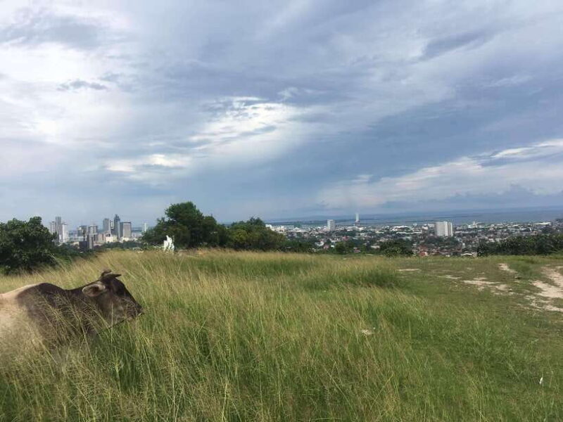 Personal Guide to Starbuk's Banawa, Cebu City - What’s Included and Why It Matters