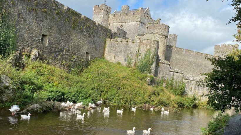 Personal Tour from Dublin: Rock of Cashel Cahir Castle &more - Lunch and Scenic Breaks