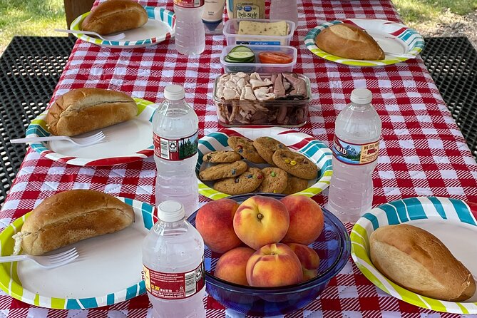 Personal Tour: Mount Rushmore, Custer State Park & Crazy Horse - Wildlife Encounters Along the Way