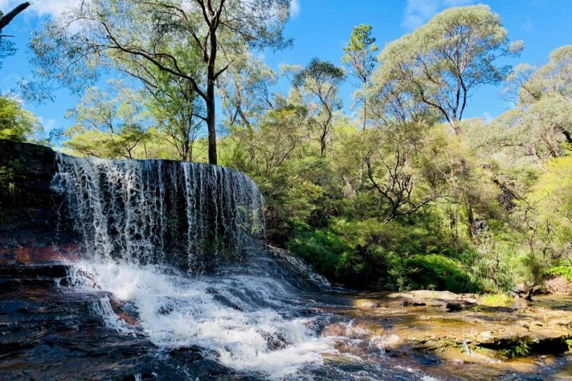 Personalised Blue Mountains Tour: Luxury Vehicles & Insights - FAQ