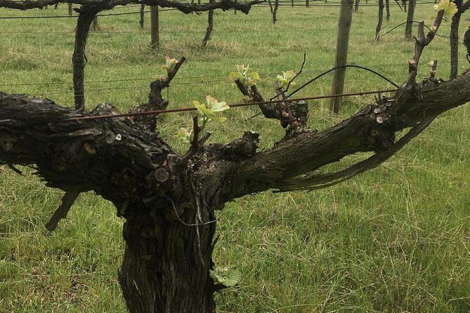Personalised wine tour experience in the beautiful NSW Southern Highlands - FAQ about the Southern Highlands Personalized Wine Tour