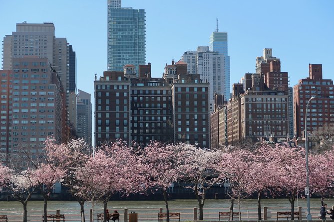 Personalized Experience with your Local Tour Guide - The Real Value Behind the Cost