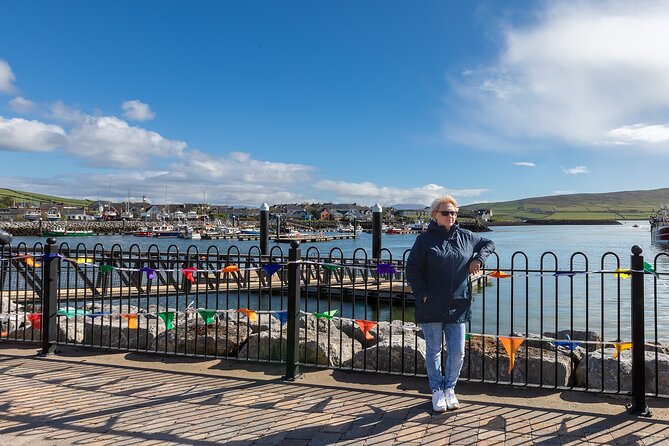 Personalized Full-Day Dingle Peninsula and Slea Head Drive Tour - Who Should Consider This Tour?