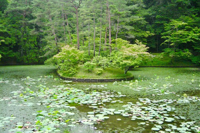 Personalized Half-Day Tour in Kyoto for Your Family and Friends. - Exploring the Serene Ryoanji Temple