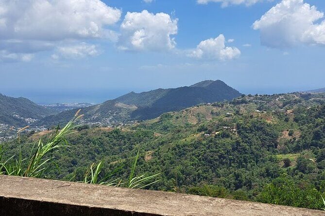 Personalized Private Tour The Paramin Hills - A Deep Dive into the Paramin Hills Private Tour