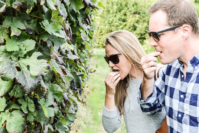 Personalized Wine and Food Experiences in Alba - Highlights of the Recommended Menu