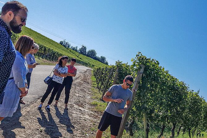 Personalized Wine and Food Experiences in Alba - Inclusions in the Personalized Tour