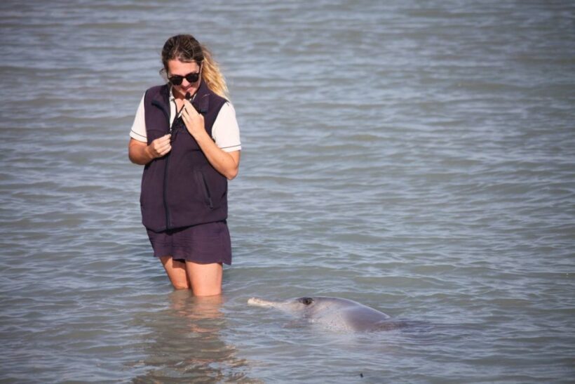 Perth: 7 Day Exmouth Explorer & Ningaloo Reef Return Perth - Key Points