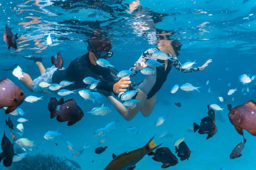 Perth: 7 Day Exmouth Explorer & Ningaloo Reef Return Perth - Introduction: A Nature-Filled Western Australia Journey
