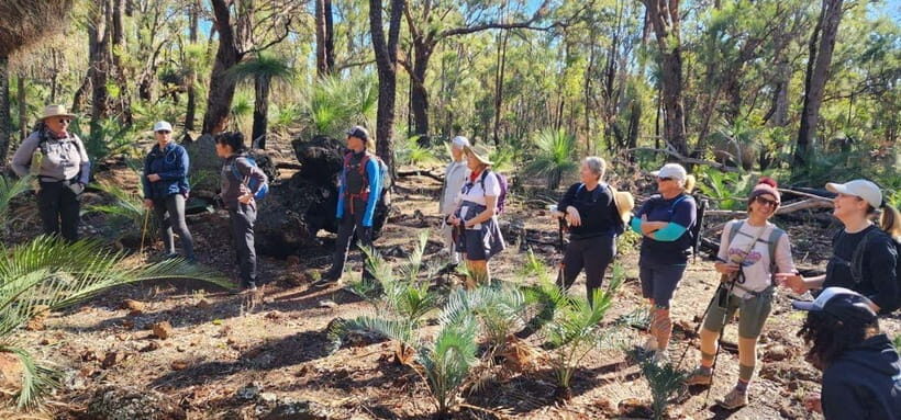 Perth: Abyssinia Rock Hiking Experience - Key Points