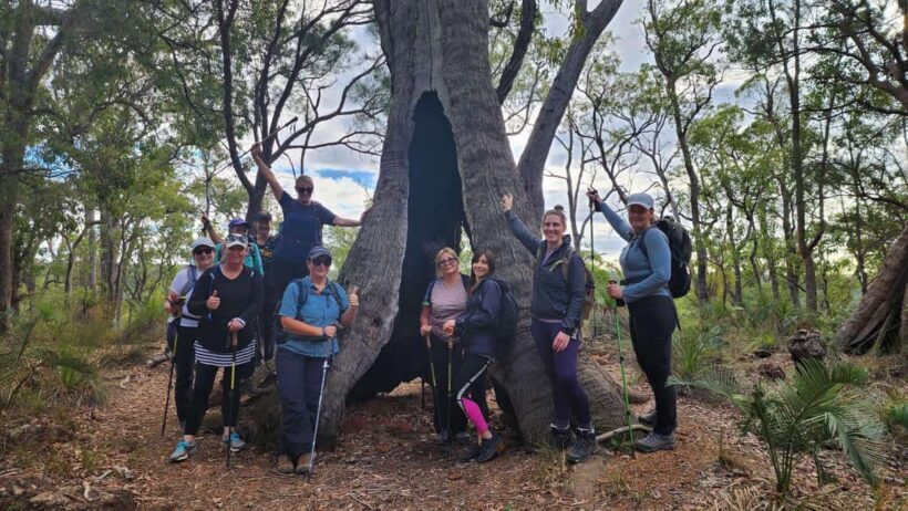 Perth: Bibbulmun Track Hiking Experience with Lunch - An In-Depth Look at the Bibbulmun Track Hiking Tour