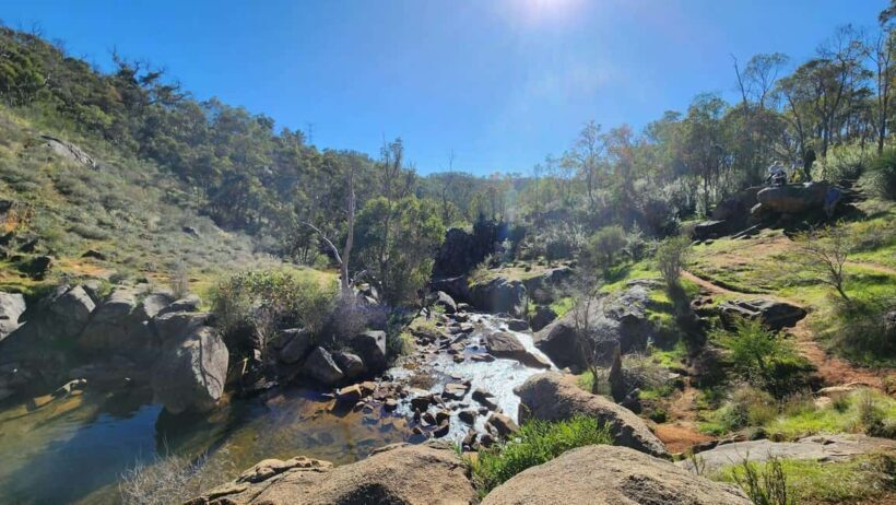 Perth: Bibbulmun Track Hiking Experience with Lunch - Who Should Consider This Experience?