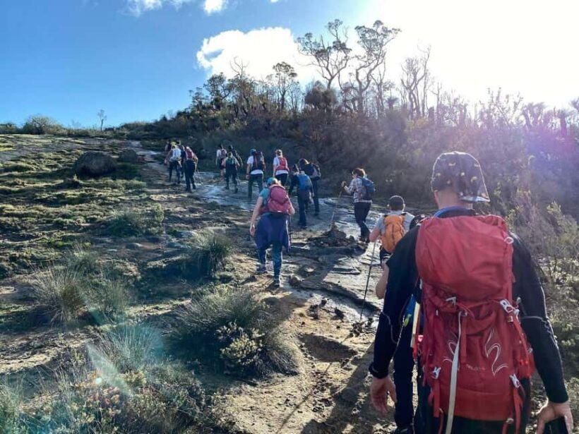 Perth: Darling Range Twin Peaks Hike with Morning Tea - Guides and Support: What Sets This Tour Apart