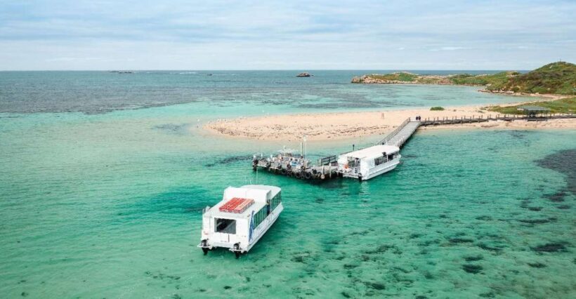 Perth: Dolphin, Sealion & Wildlife Cruise with Lunch - The Experience in Detail