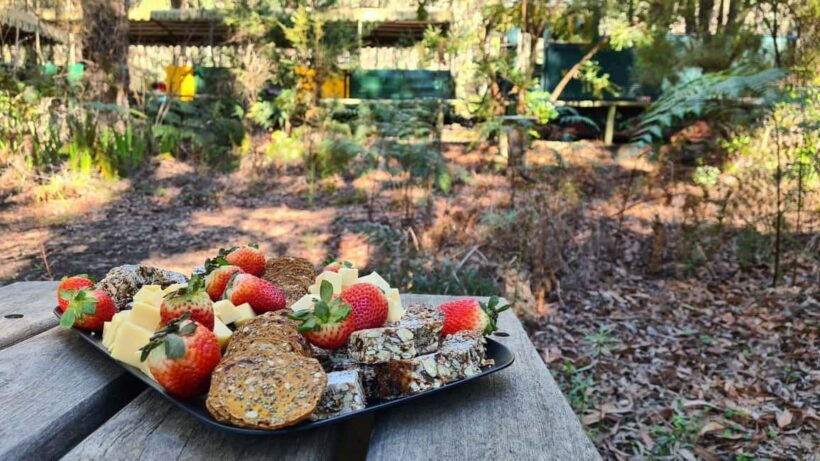 Perth: Dwellingup Train, Trails, and Woodfired Delights Tour - Key Points
