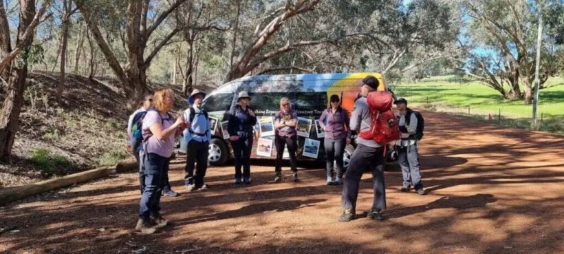 Perth: Hidden Gems of Perth Hiking Tour with Lunch - Why This Tour Might Be Just Right for You