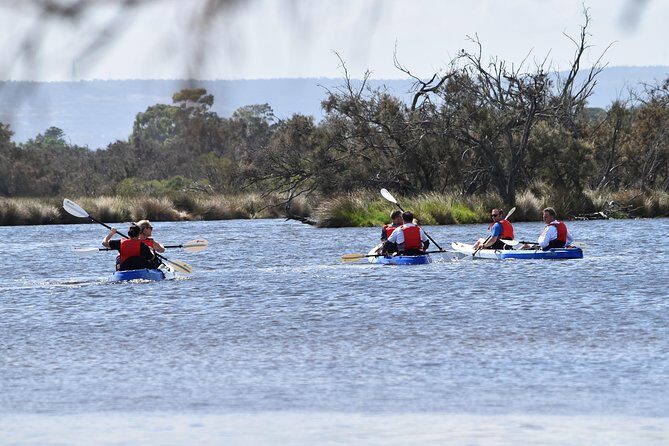 Perth Kayak Tour - Canning River Wetlands - A Detailed Look at the Canning River Wetlands Kayak Tour