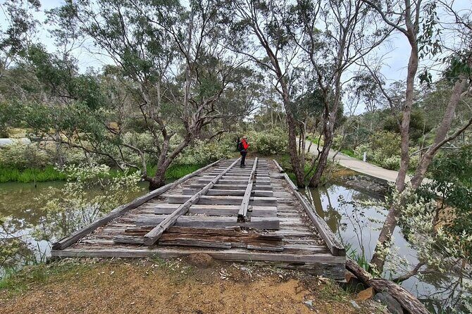 Perth Kayak Tour - Canning River Wetlands - Final Thoughts