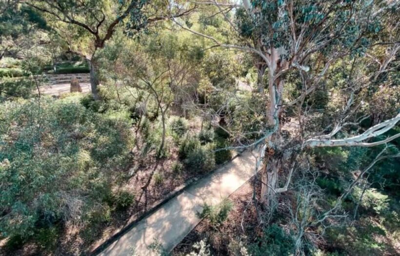 Perth: Kings Park Botanicals & Beyond Guided Hike - Discovering Perth’s Green Heart: An Introduction