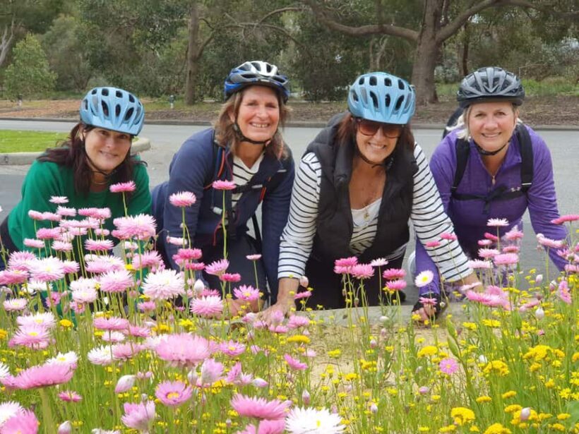 Perth: Kings Park Wildflower Festival Guided Bike Tour - Analyzing the Value: Is It Worth It?