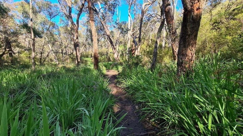 Perth: Kitty's Gorge Waterfall Hike - Key Points