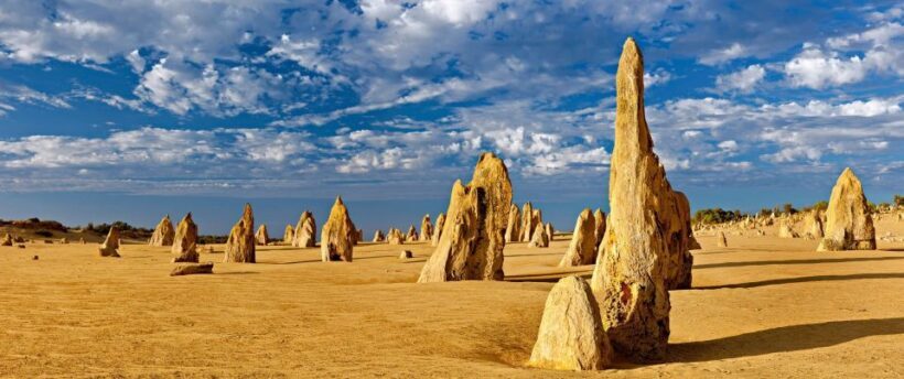 Perth: Pinnacles and Swan Valley Wine Day Tour with Lunch - Swan Valley Wine Tasting: A Regional Highlight