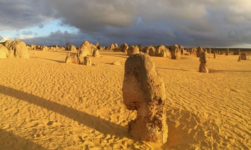 Perth: Pinnacles and Swan Valley Wine Day Tour with Lunch - Returning to Perth