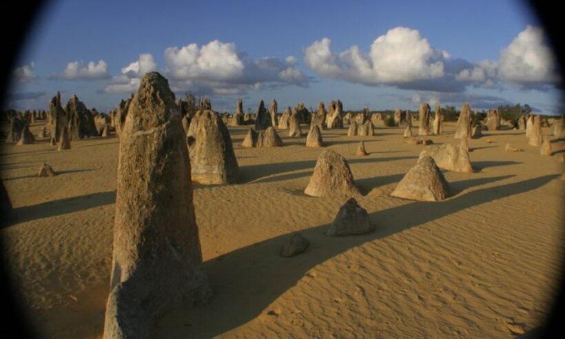 Perth: Pinnacles and Swan Valley Wine Day Tour with Lunch - Cost and Value