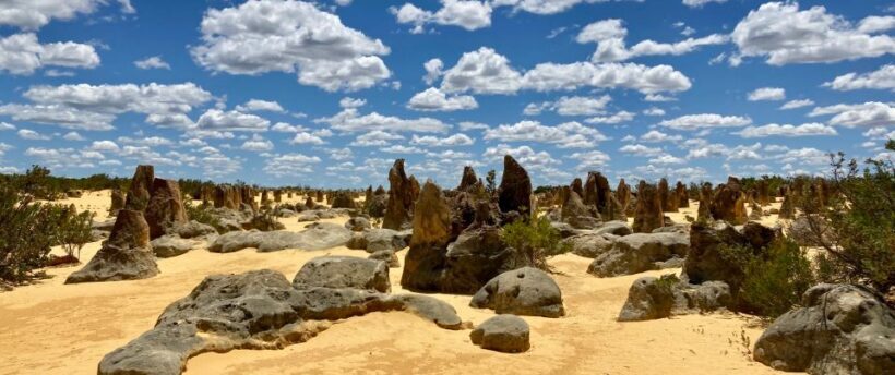 Perth: Pinnacles Desert Bush Walk Guided Tour with Lunch - Key Points