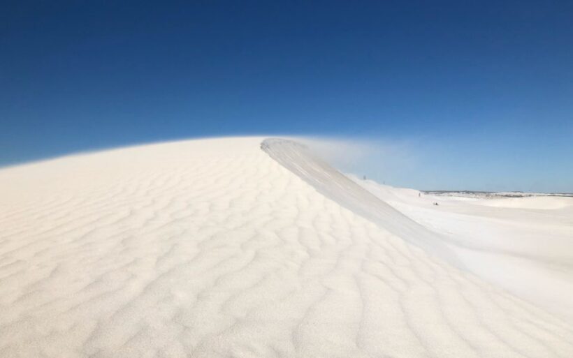 Perth: Pinnacles Desert Bush Walk Guided Tour with Lunch - The Itinerary in Detail