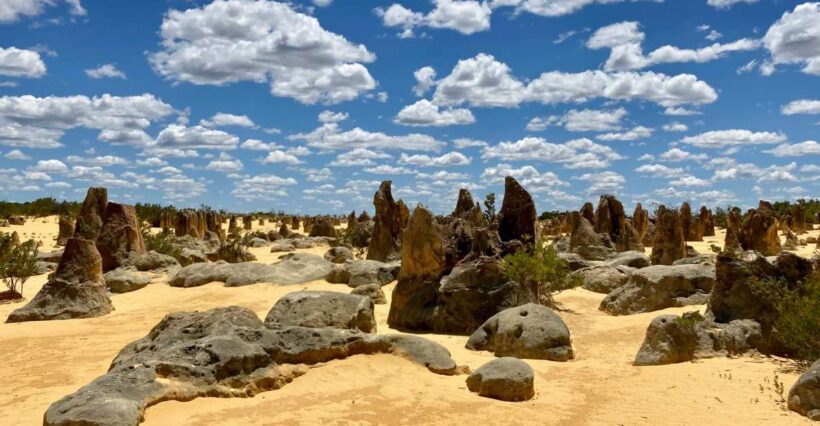 Perth: Pinnacles Desert Bush Walk Guided Tour with Lunch - The Experience Through the Eyes of Travelers