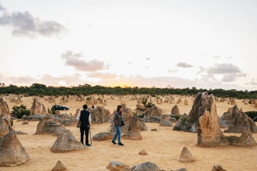 Perth: Pinnacles Desert Sunset and Stargazing with Dinner - Who Should Consider This Tour?