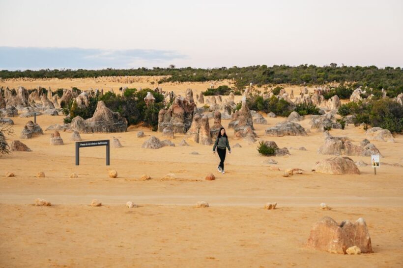 Perth: Pinnacles Desert Sunset and Stargazing with Dinner - FAQs