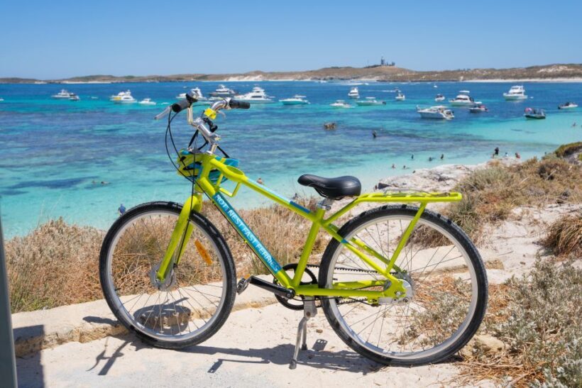 Perth: Rottnest Island Ferry, Bike, Coffee & Lobster Roll - Who Should Consider This Tour?