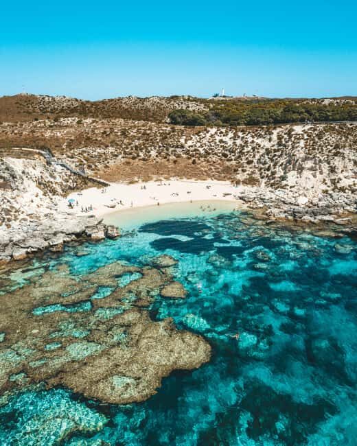 Perth: Rottnest Island Flight Transfer with Return Ferry - Key Points